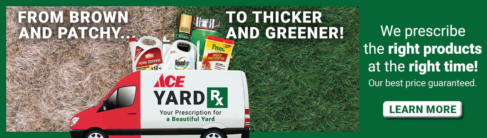 Great Lakes Ace Hardware