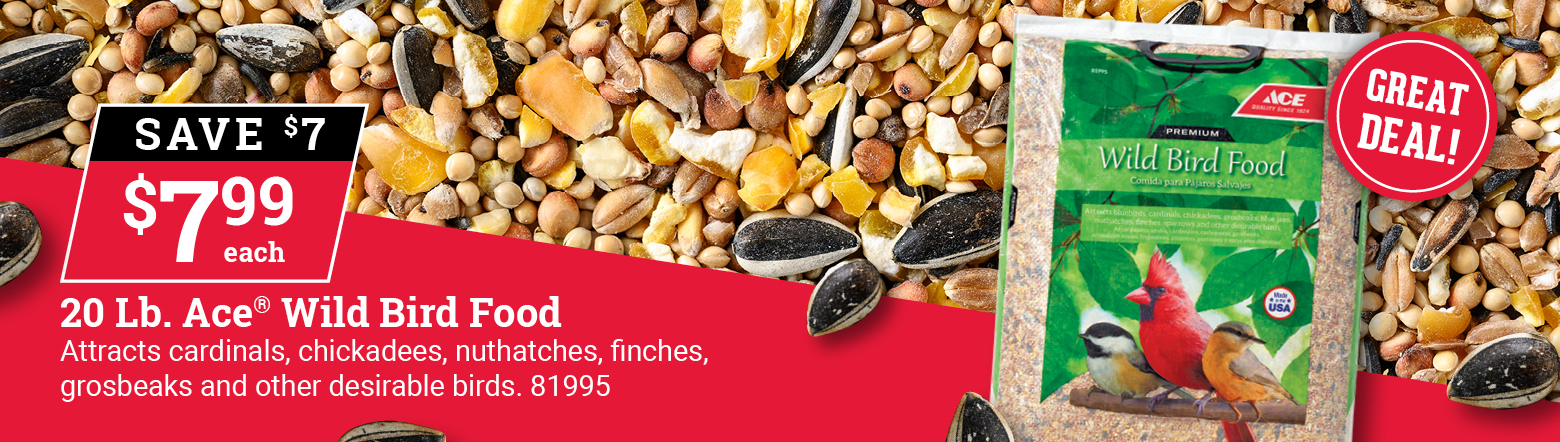 Great Lakes Ace Hardware